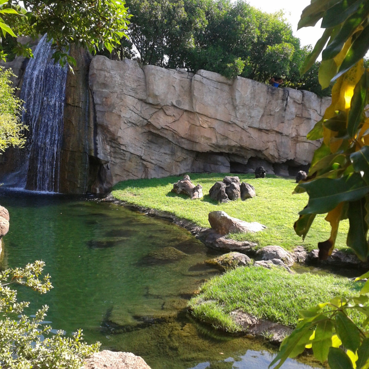 Animal Parks - Amusement Logic