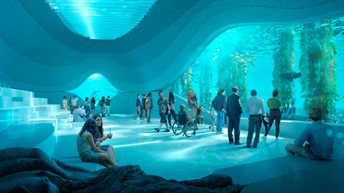 The world’s largest natural marine observatory – Amusement Logic