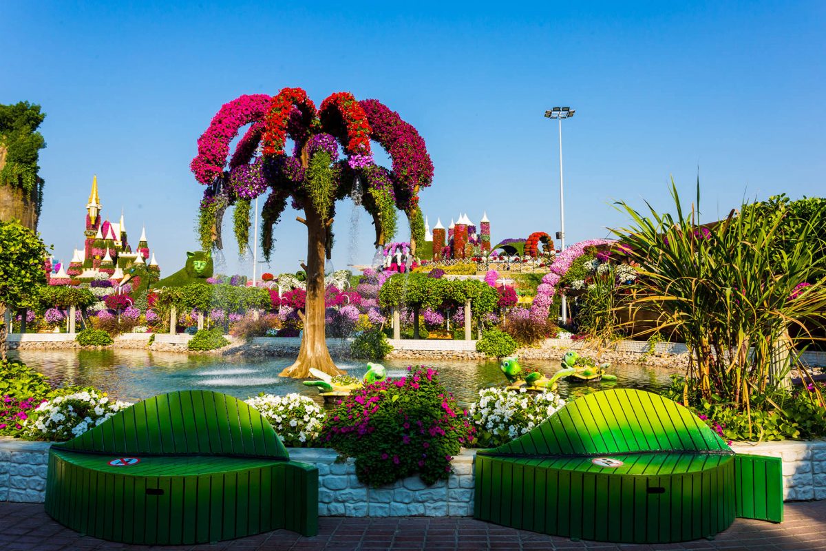The world’s largest natural flower park: Dubai Miracle Garden ...
