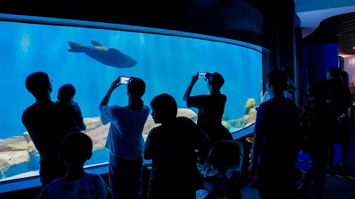 Retailtainment, unique experiences in shopping centres – Amusement Logic