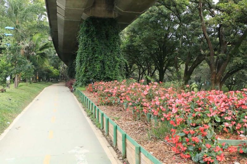 Fighting the heat with green corridors, Medellín, Colombia (+VIDEO ...
