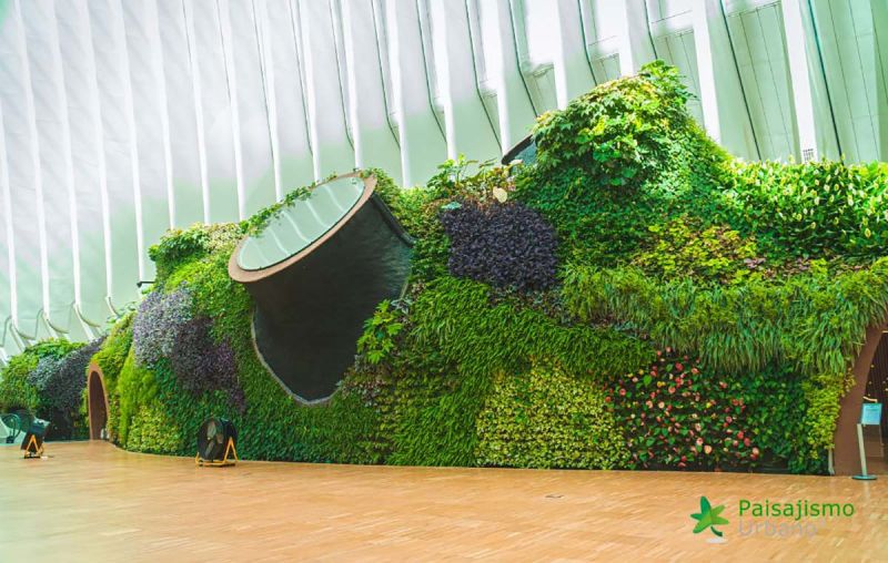 Landscaping: the vertical ecosystems of Ignacio Solano Cabello ...