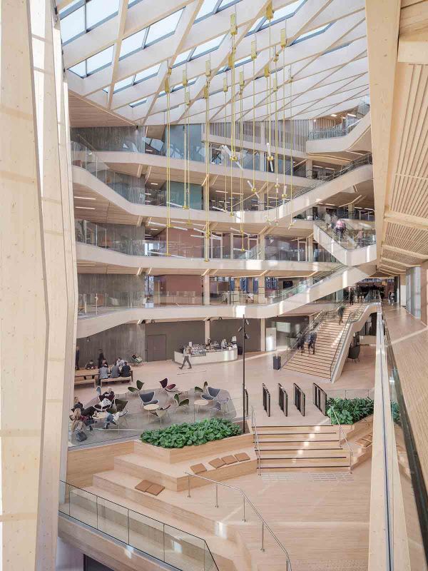 Evolution of timber in construction: from the Middle Ages to the 21st ...