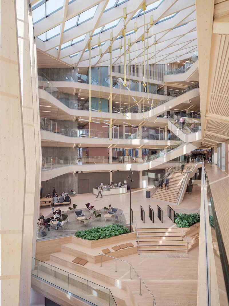 Evolution of timber in construction: from the Middle Ages to the 21st ...