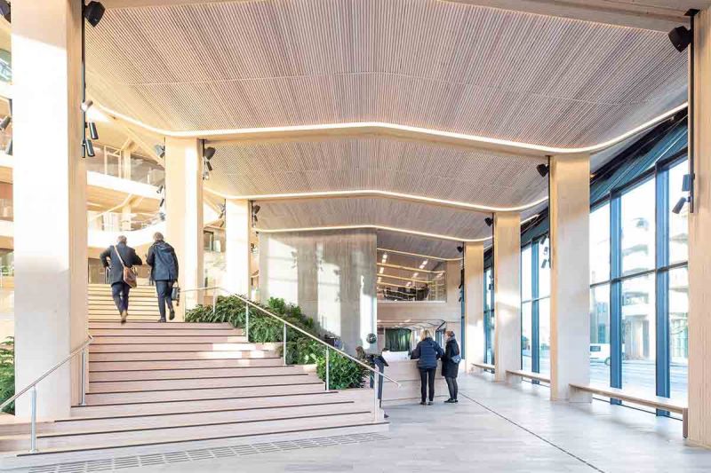 Evolution of timber in construction: from the Middle Ages to the 21st ...