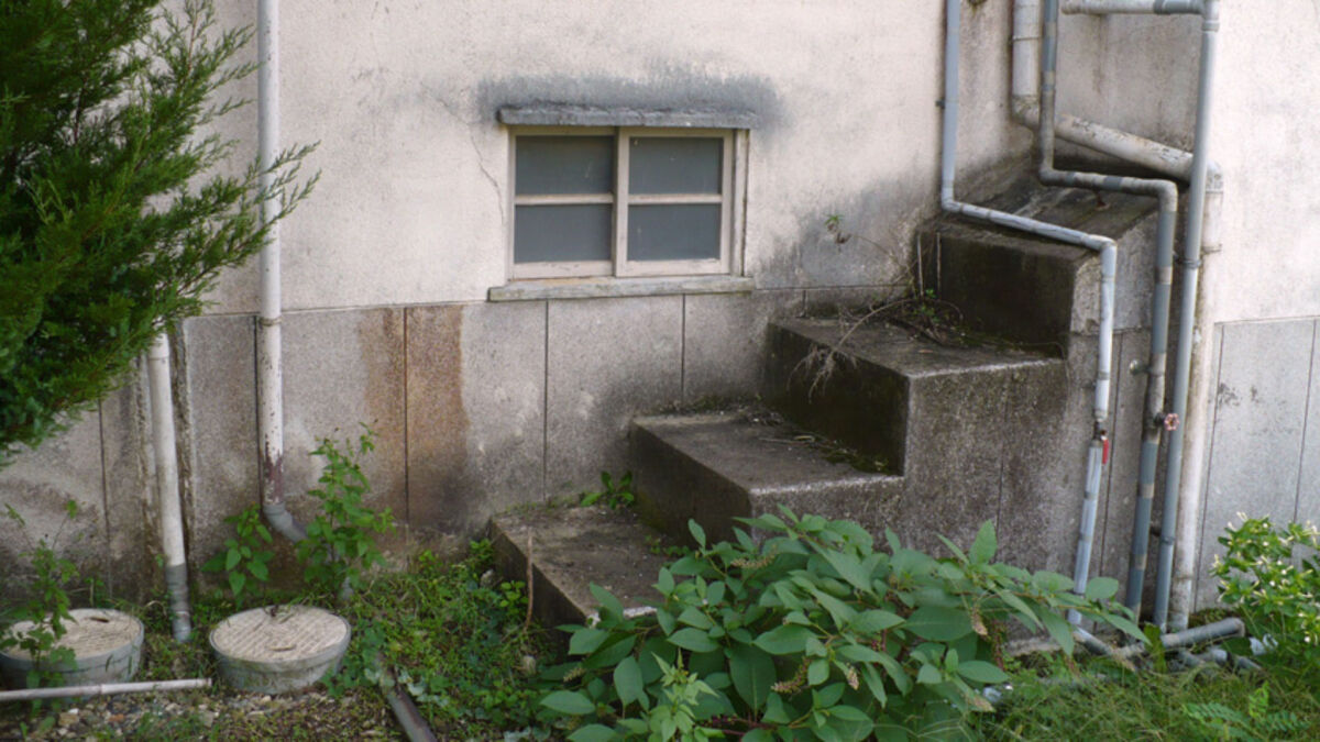 Thomasson: architecture, art and a sense of humour